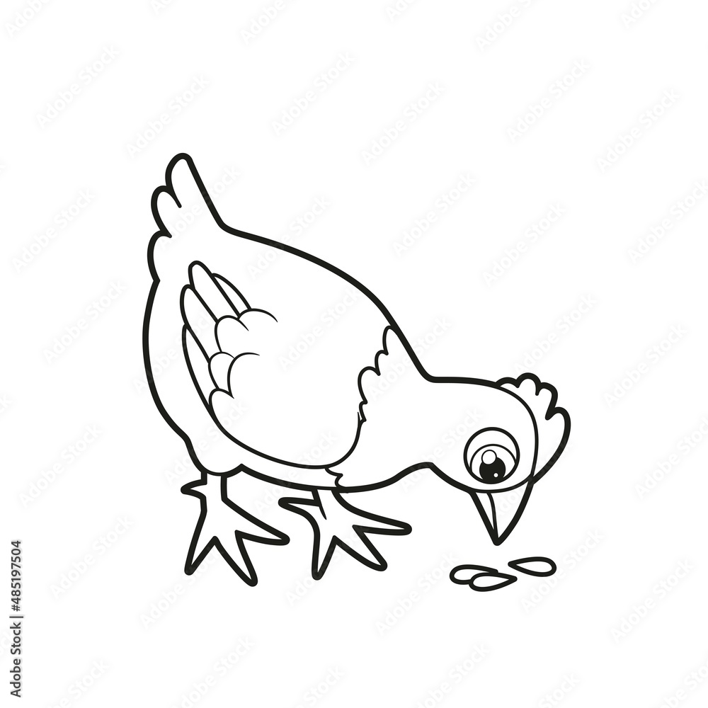 Cute cartoon young hen pecks grains outlined for coloring page on white ...