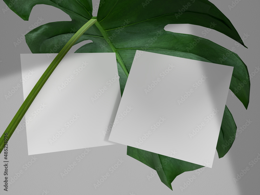 Card mockup with nature leaf and shadow. Mockup design template for ...