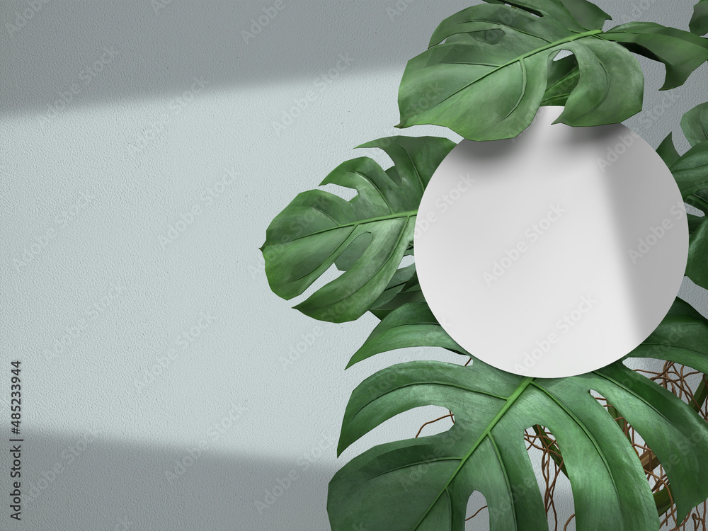 Card mockup with nature leaf and shadow. Mockup design template for ...