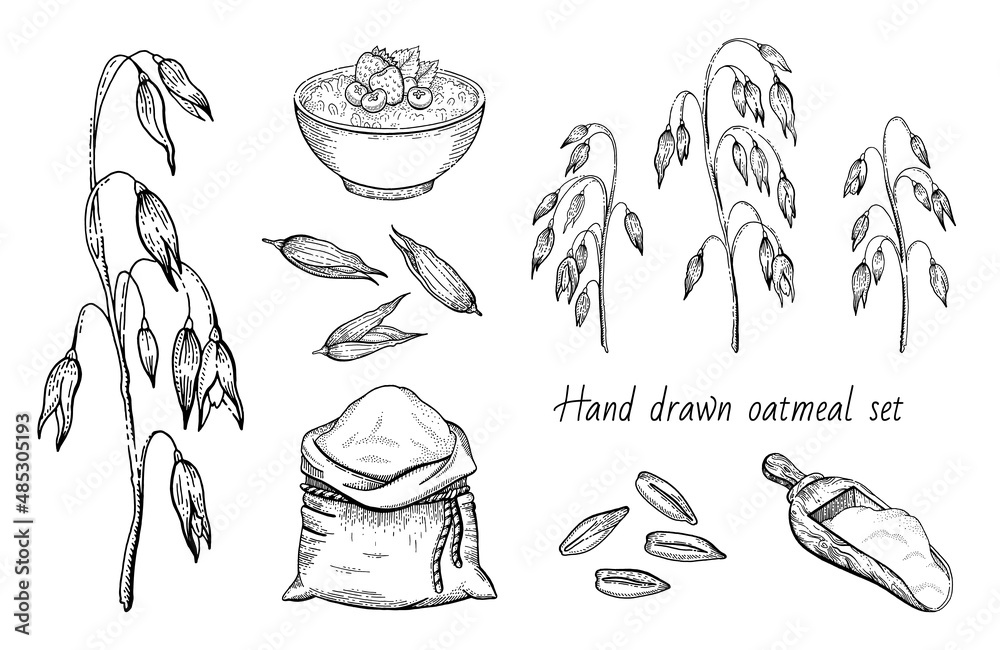 Oats sketch. Oatmeal porridge bowl with fruit, oat ear, grain, bag ...