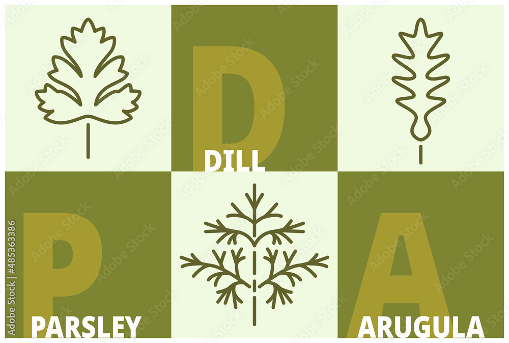 Herbs and spices line icon set. Dill, parsley, arugula signs with name ...