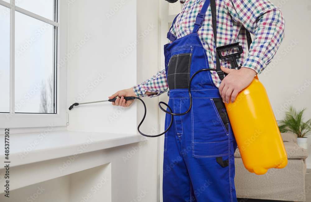 Pest control guy spraying poisonous gas or liquid on a windowsill at ...