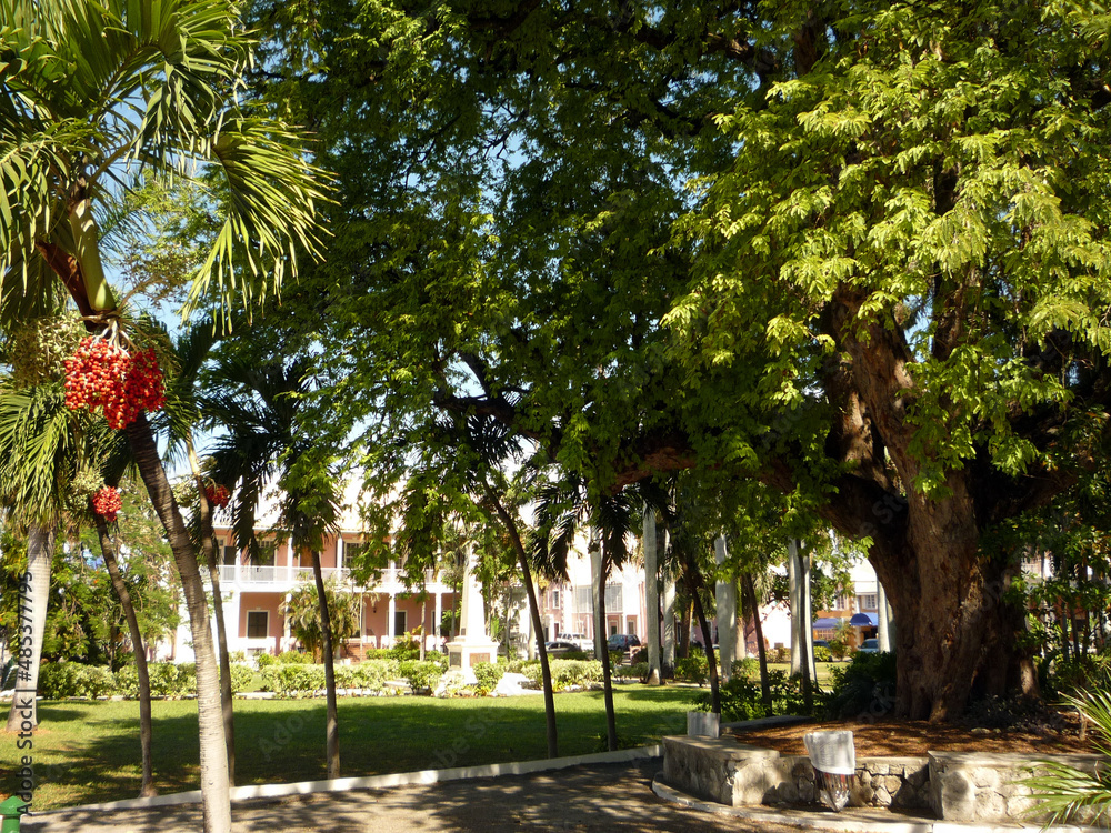 Lively busy street scenery shopping mall avenue with people tropical ...