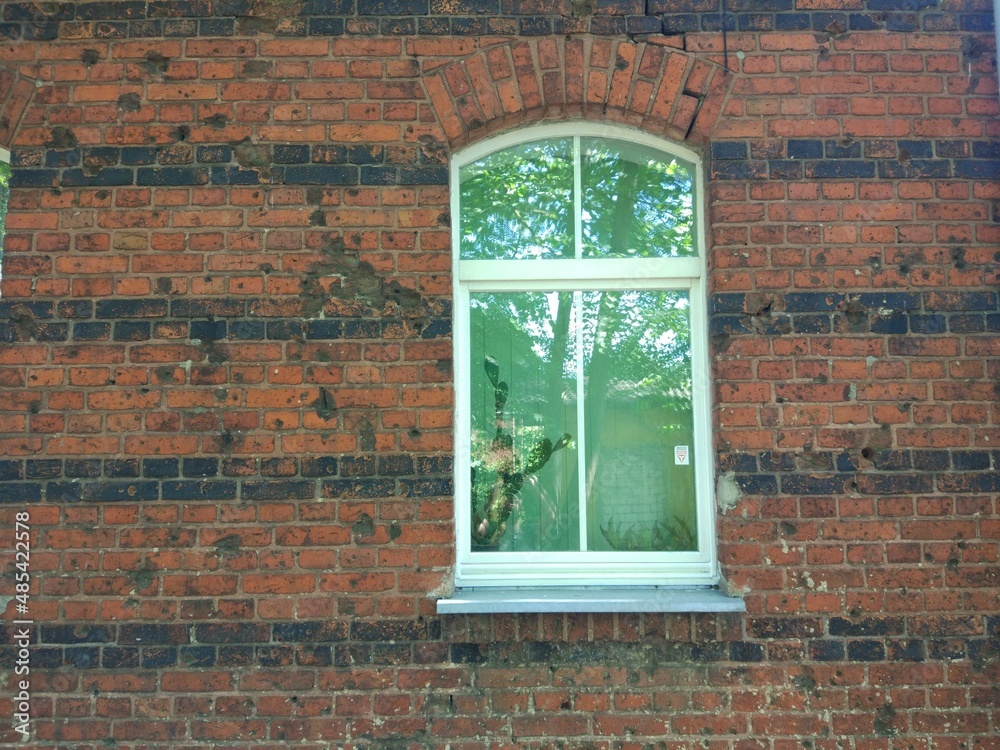 ww2 bullet holes on bricks and old window in a wall with flowers. Signs ...