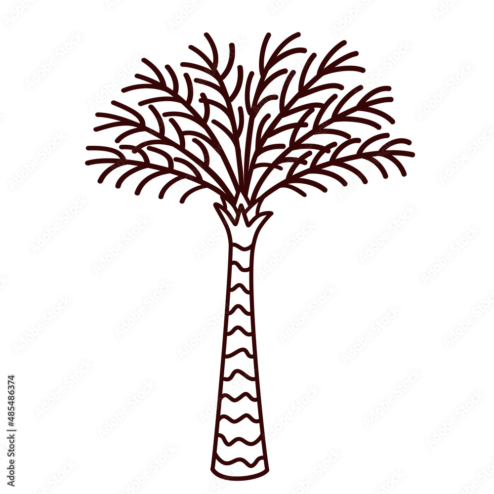 Vector date palm tree in outline style, freehand sketch of date fruit ...