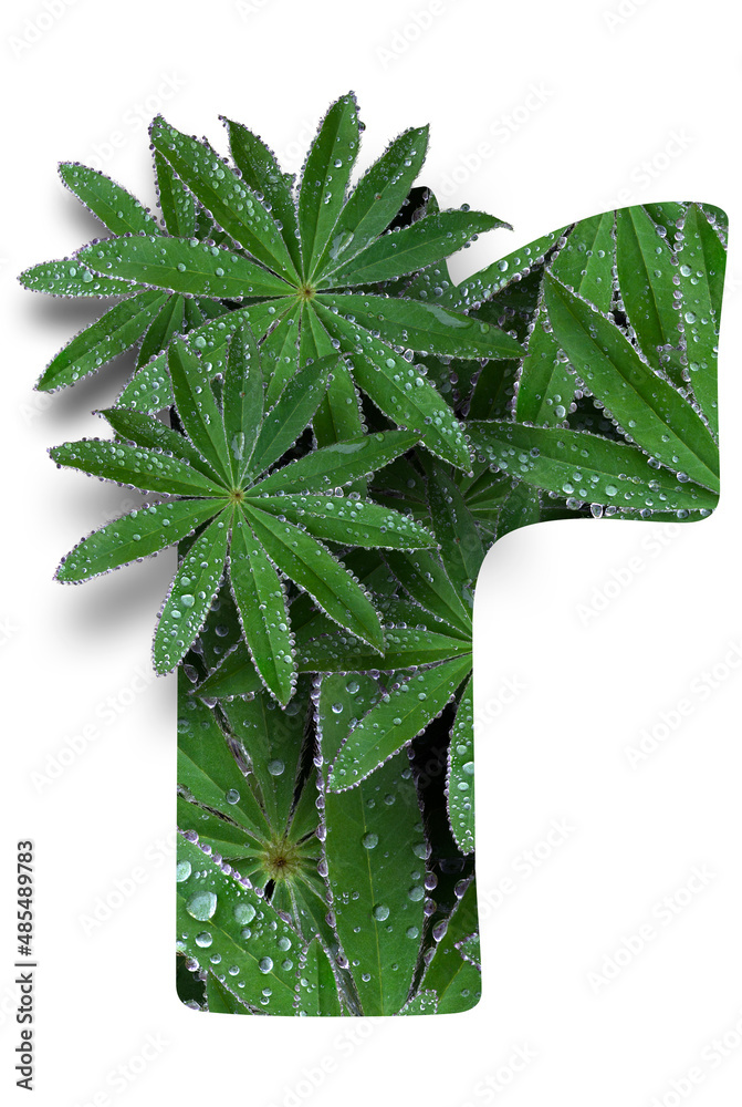 English uppercase small letter of the alphabet r, highlighted on a ...