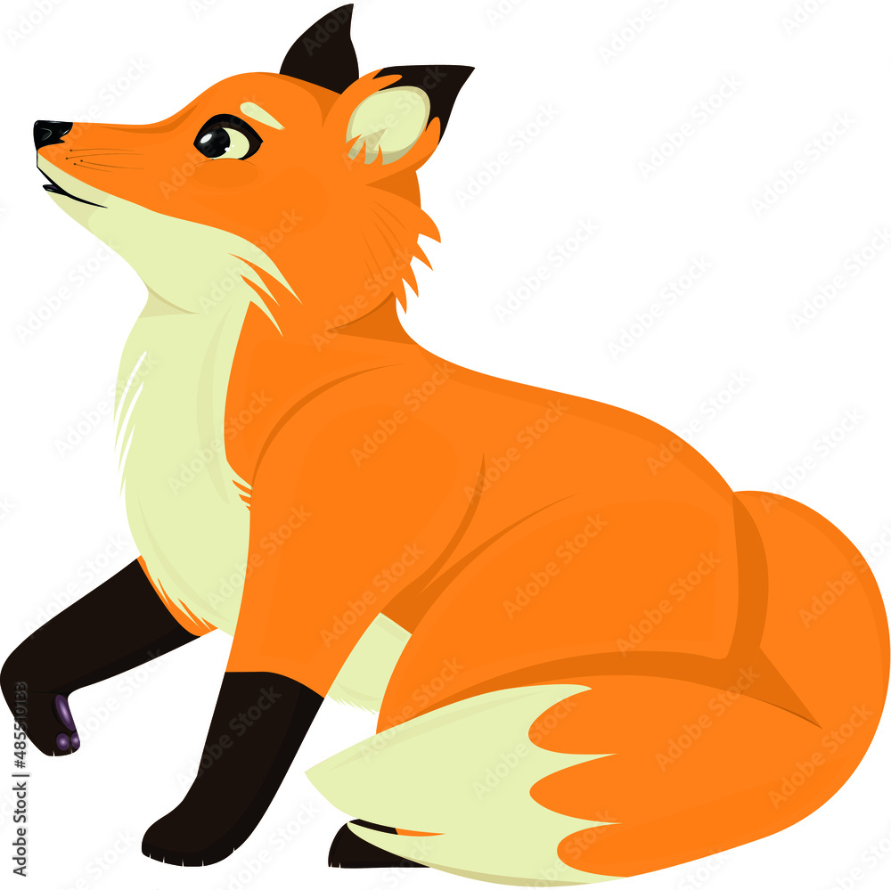 Red fox looking up vector. Cute fox illustration. Side profile of a red ...