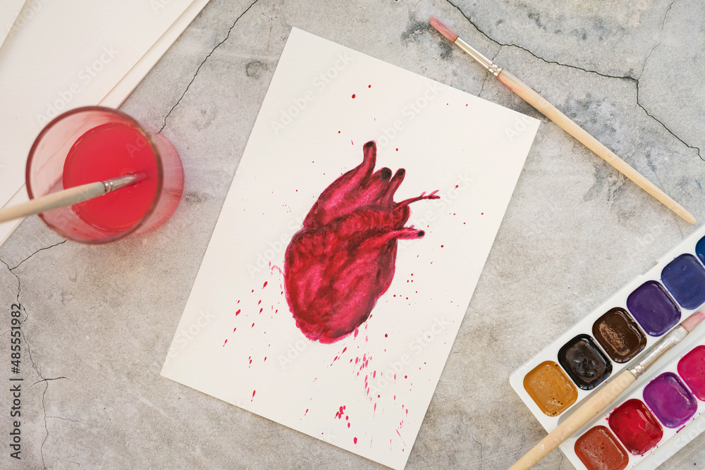 Watercolor drawing of an anatomical human heart. Drawing a pragmatic ...