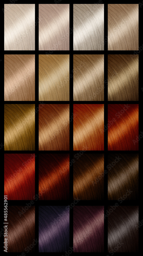 Hair dye shades. Hair color palette with a wide range of swatches ...