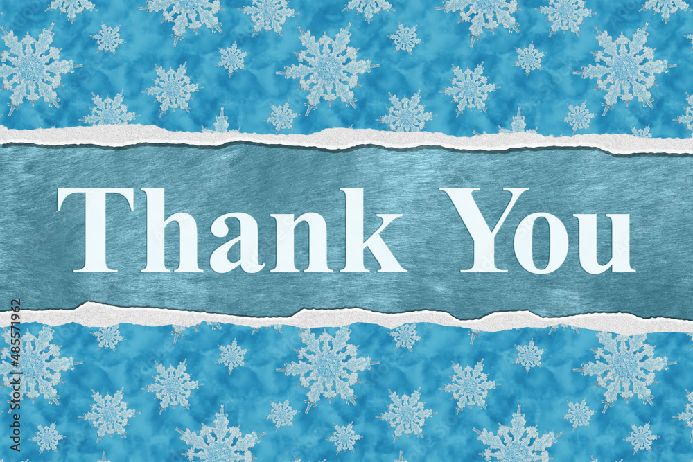 Thank You message with snowflakes Stock Illustration | Adobe Stock