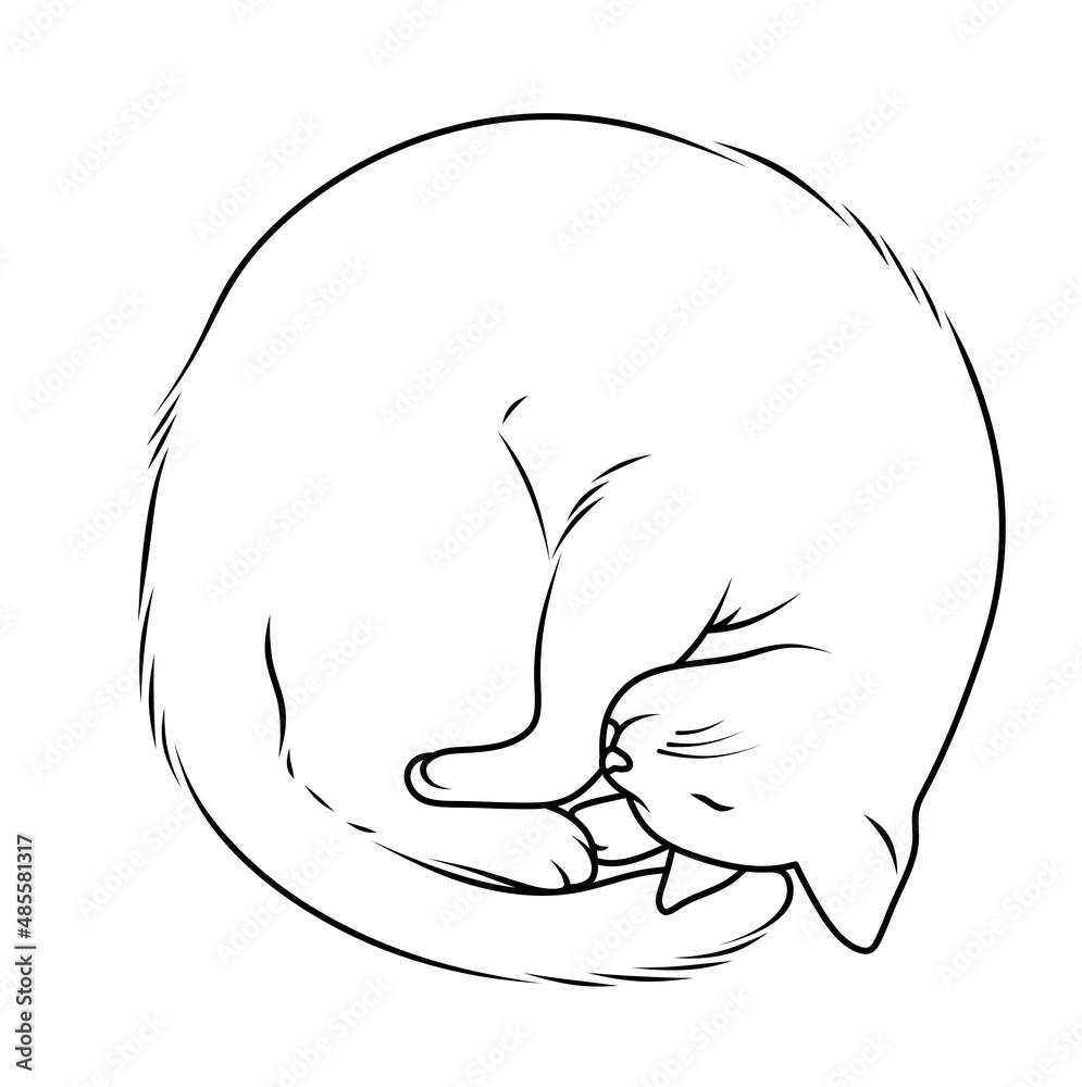 Contour Drawing Of A Cat Curled Up And Sleeping Cat Illustration