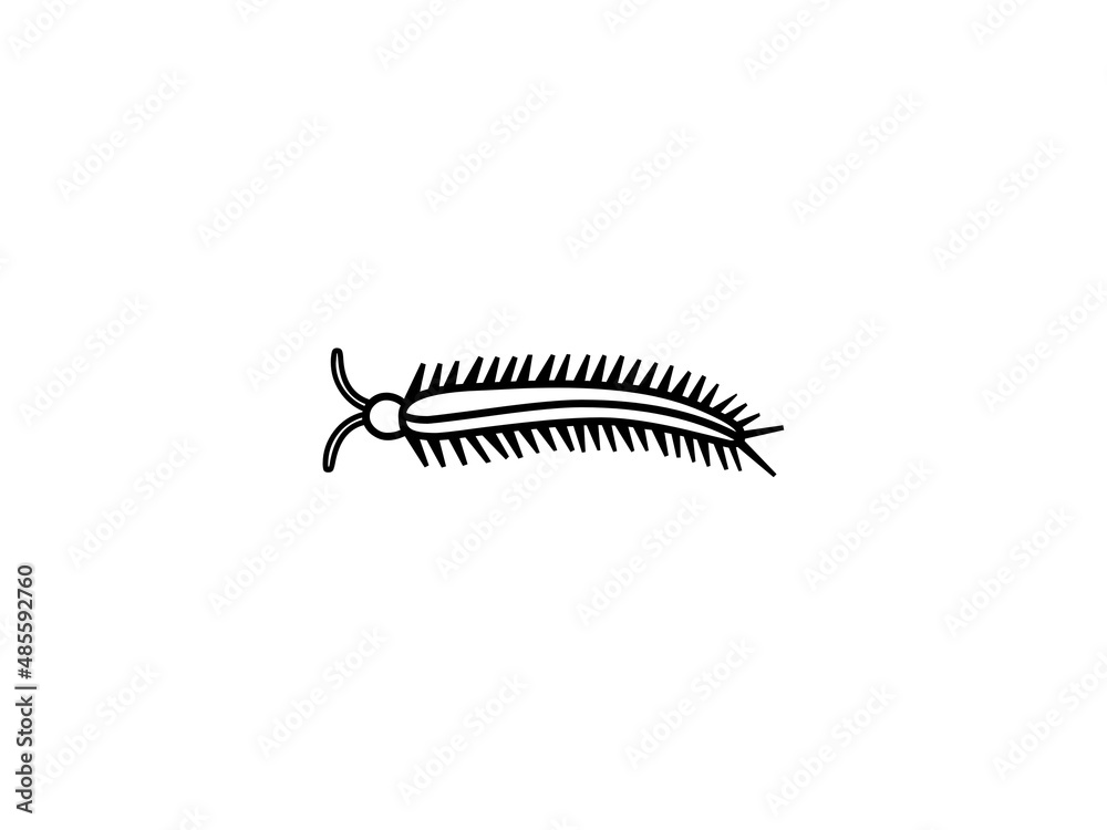 Centipede insect shape, sketch, outline, or drawing isolated on white ...