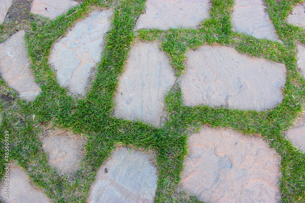 Gray paving slabs, paved path, among greenery in a shady park. Shallow ...