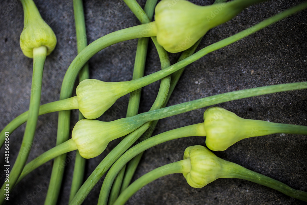 Cluster of Baby Garlic Scapes on Black Countertop Stock Photo | Adobe Stock
