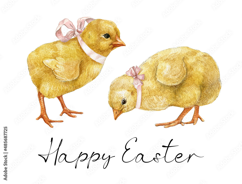 Easter Baby Chicks