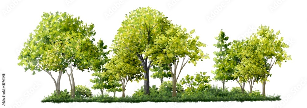 ภาพประกอบสต็อก forest or green tree side view isolated on white ...