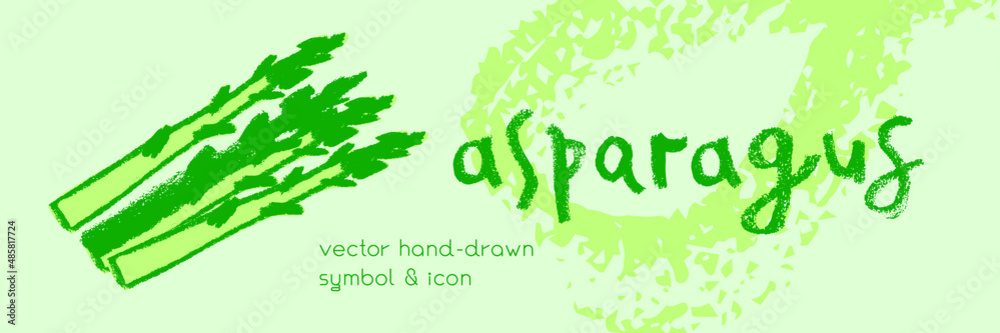 Vector asparagus icon. Pencil textures. Green sparrow grass ...