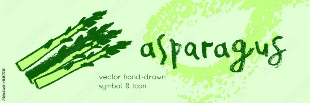 Vector asparagus icon. Pencil textures. Green sparrow grass ...