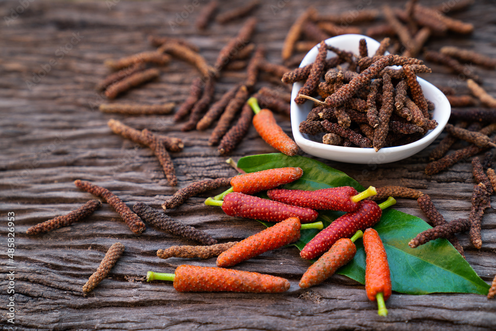 Long Pepper, Indian long pepper, Javanese long pepper (Piper ...