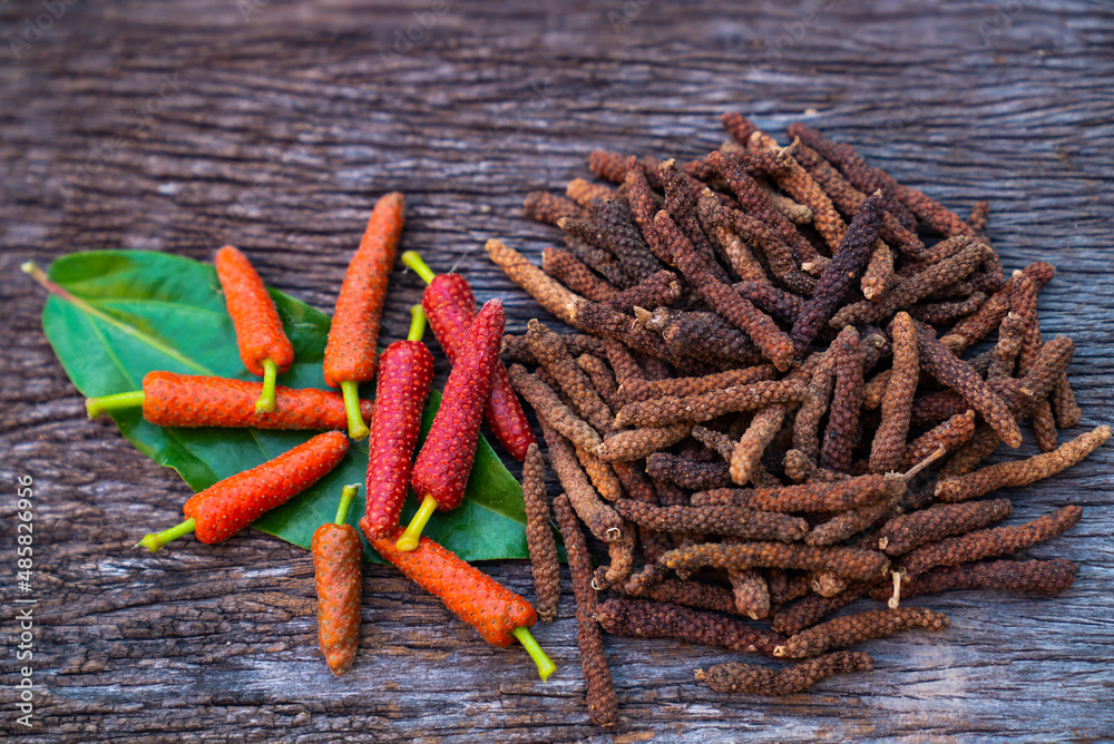 Photo Long Pepper, Indian long pepper, Javanese long pepper (Piper ...