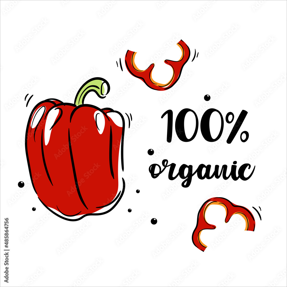 pepper illustration in hand drawn style isolated on white background ...
