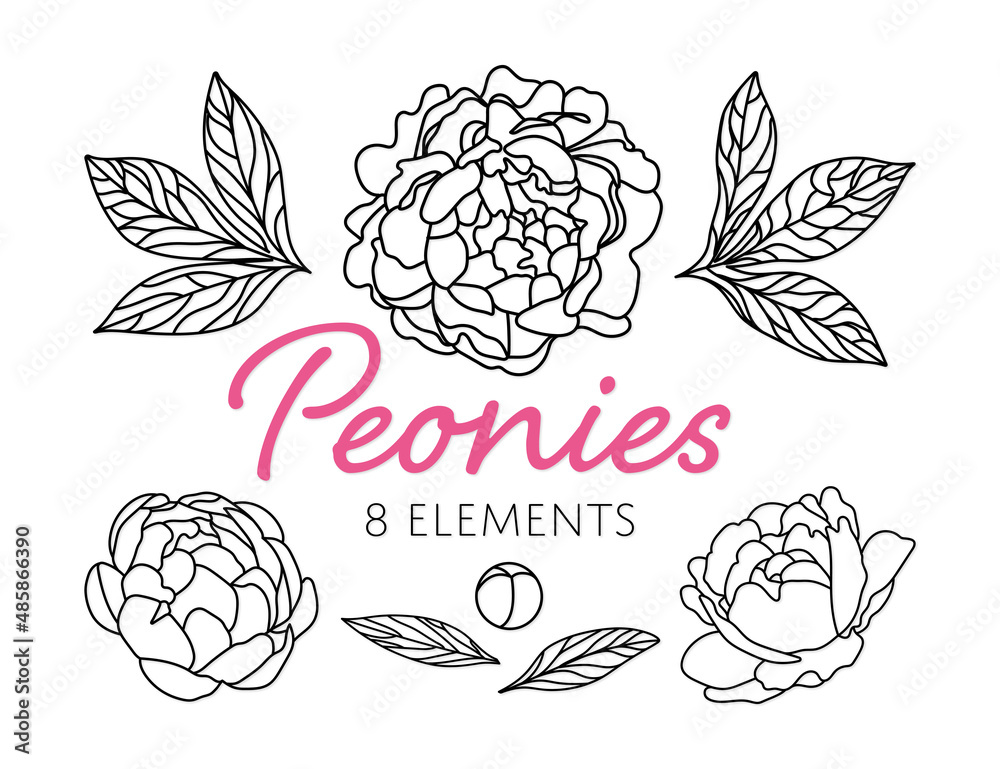 Peony Set Peonies with leaves Outline Wedding floral designs collection ...