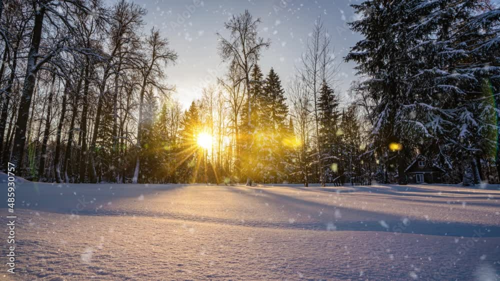 Wonderful winter fairy Forest. Beautiful rays of the sun shine through ...