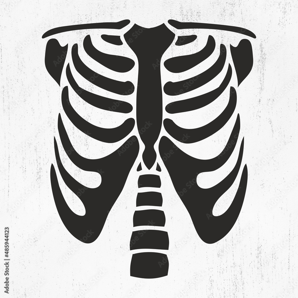 Skeleton SVG, Skeleton torso Svg, Skeleton parts Svg, Skeleton Svg ...