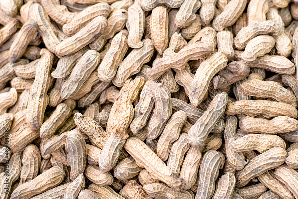 mani, manias, semillas, cacahuate, semilla, alimento, tropical ...