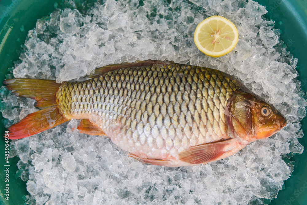 Carp fish, Fresh raw fish on ice for cooked food with lemon background ...