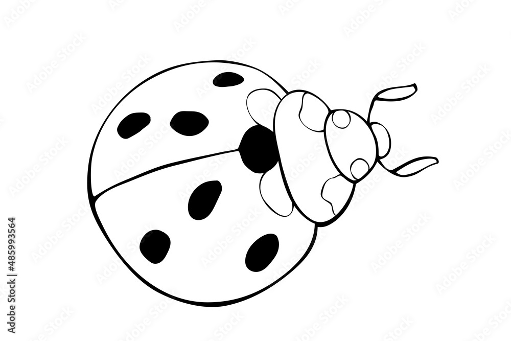 Vector black outline ladybug in doodle style. Cute insect, isolated ...