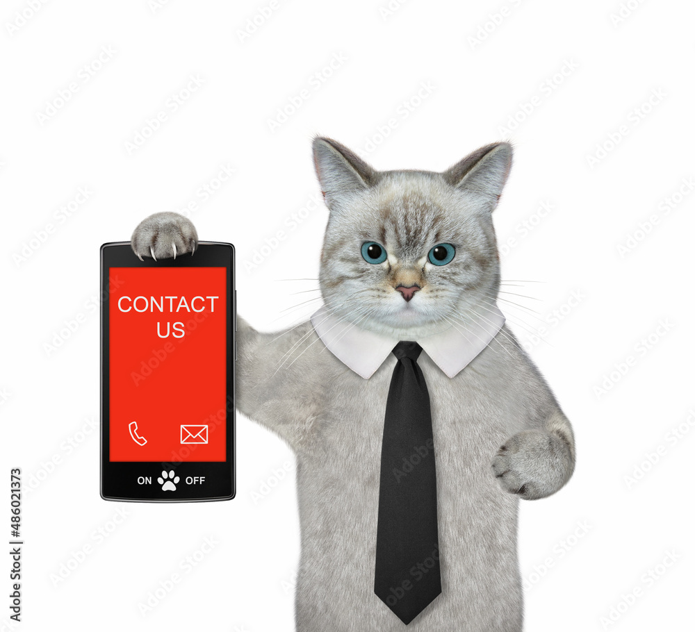 An ashen cat in a black tie holds phone with text contact us. White ...