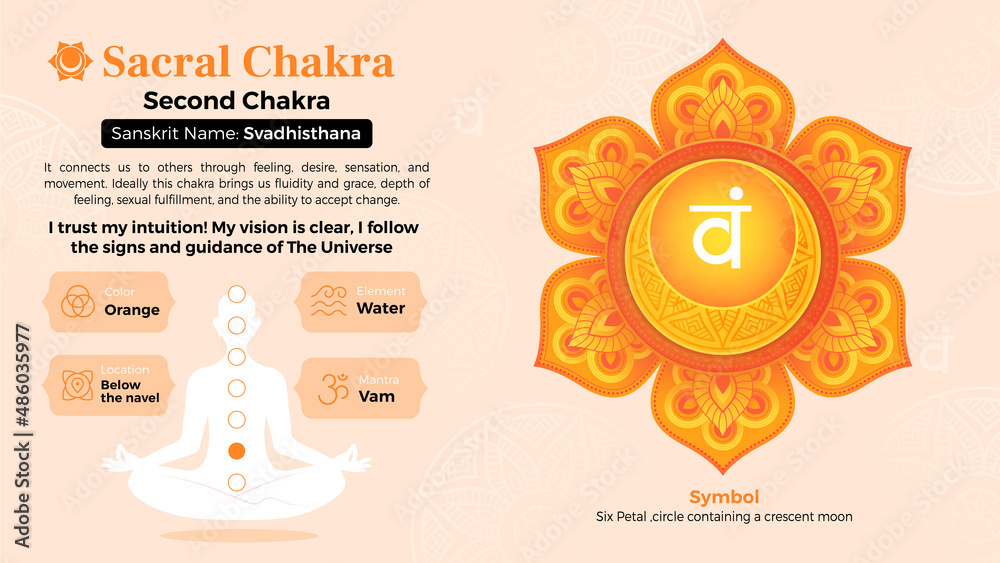 Exploring the properties of Sacral Chakra vector Symbol Design Stock ...