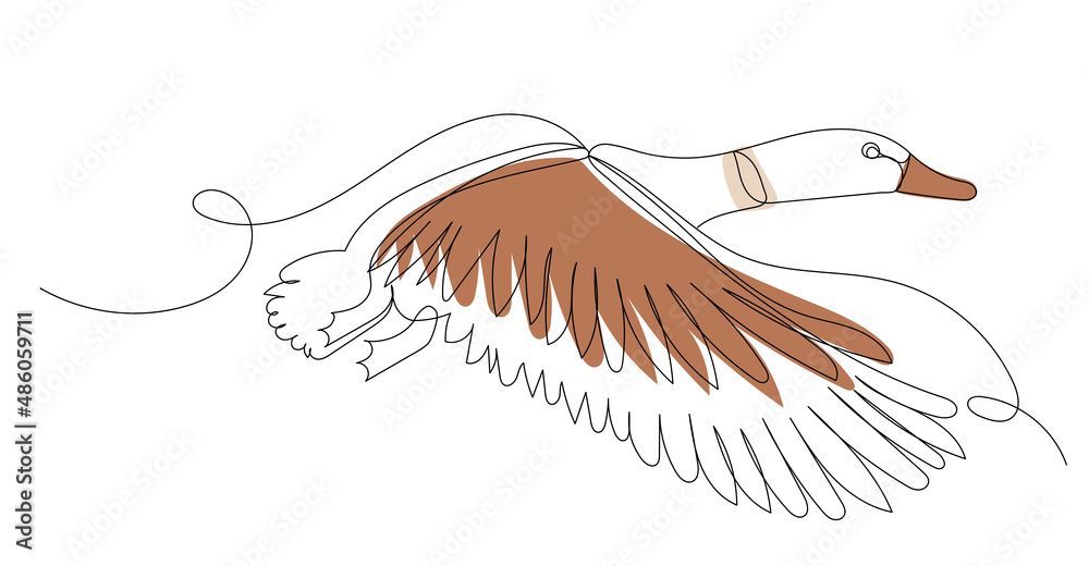 flying duck one line outline, vector sketch Stock Vector | Adobe Stock