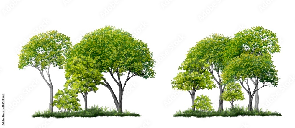 watercolor forest or tree side view isolated on white background for ...