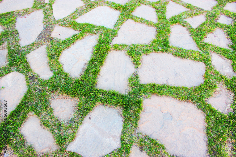 Gray paving slabs, paved path, among greenery in a shady park. Shallow ...