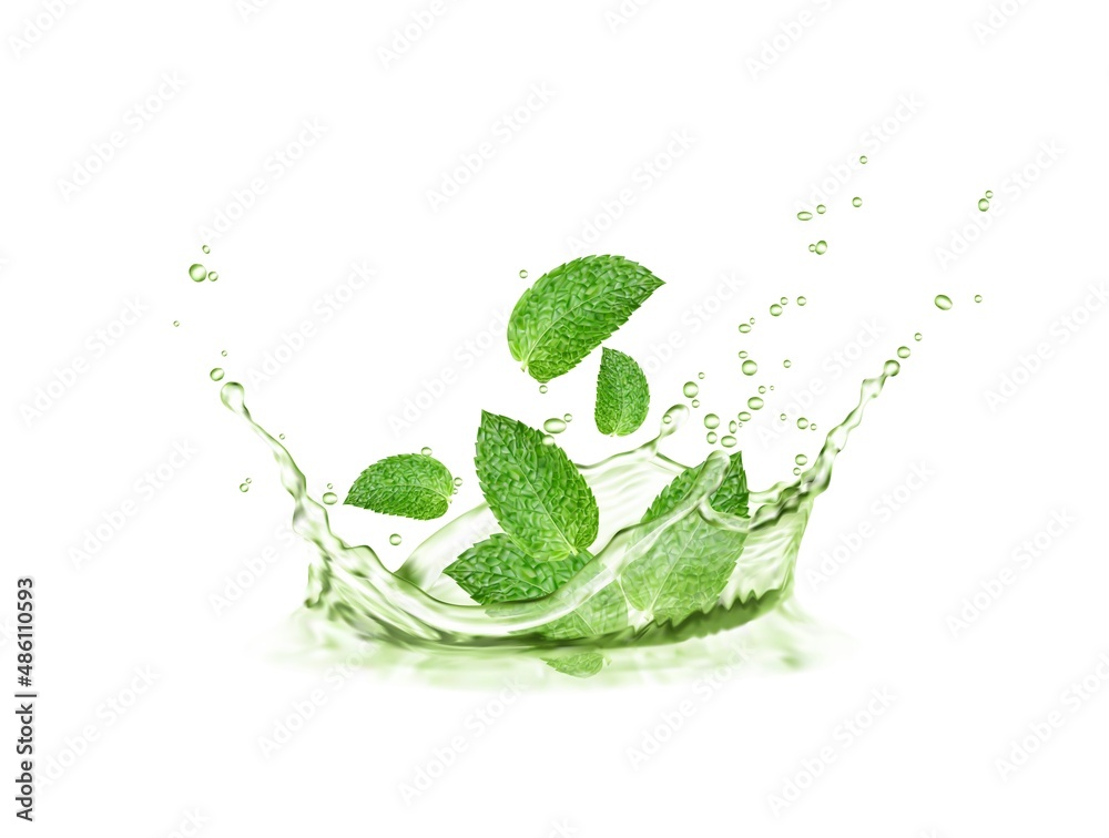 Crown herbal tea splash with mint leaves and water wave, menthol ...