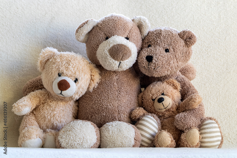 Teddy bear family portrait Stock Photo | Adobe Stock