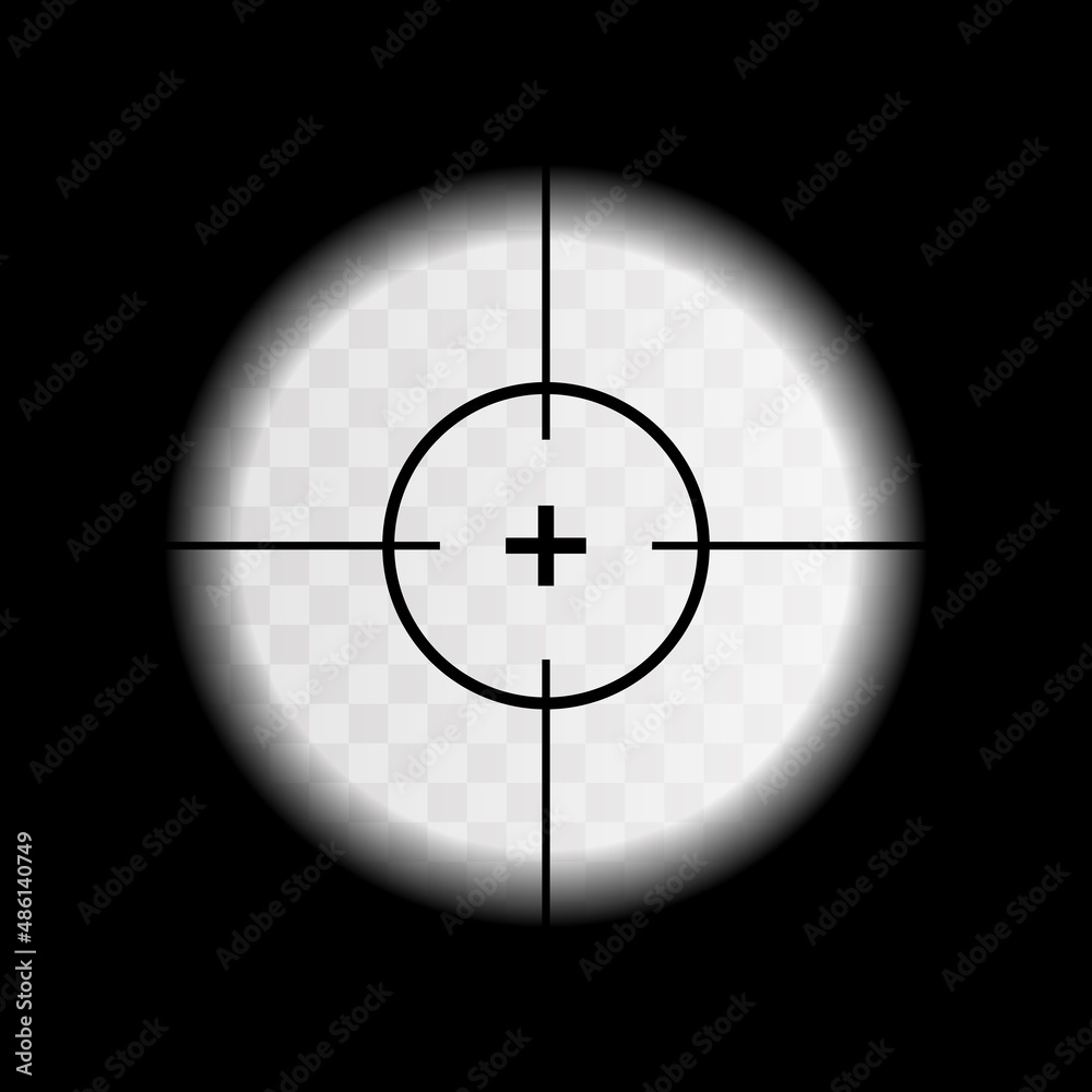 View from the target with measurement scale. View through a rifle scope ...