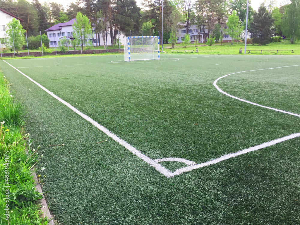 football field with markings.Texture of natural green grass on the ...