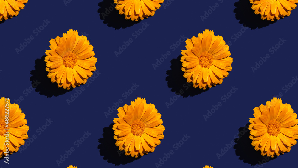 Beautiful Orange Flowers Wallpapers