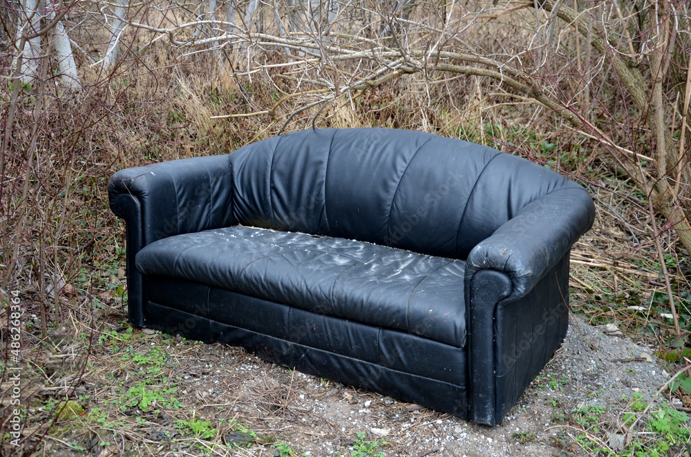 discarded waste in the forest. The furniture lies in the bushes. The ...