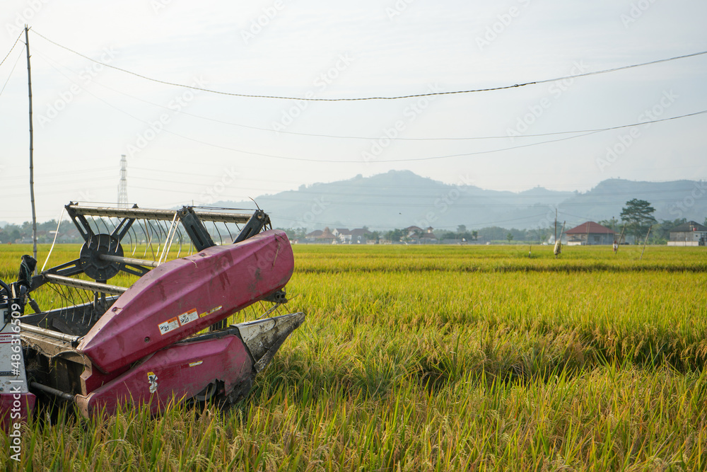 Pati, Indonesia - January, 2022 : Automatic rice harvester machine is ...