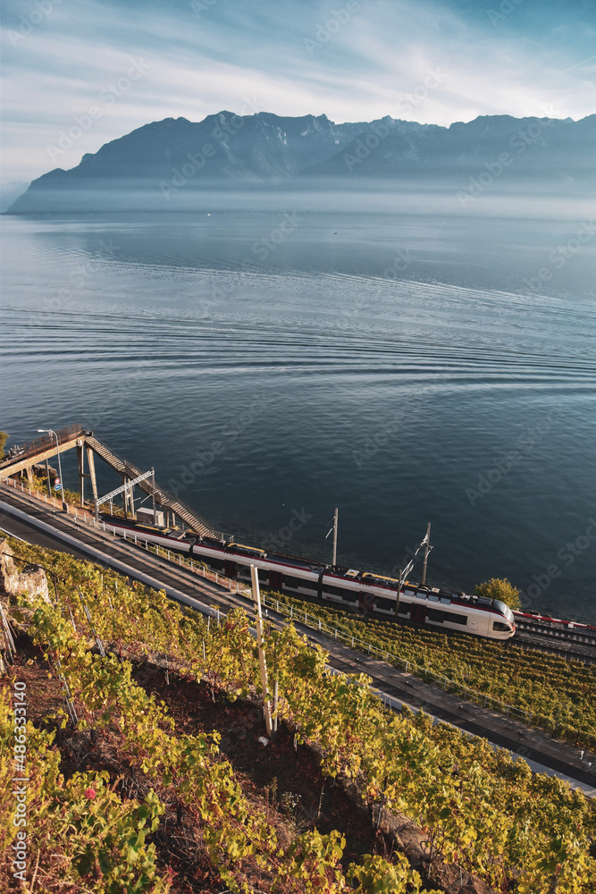 SBB Train along Lac Léman | Rivaz, Vaud, Switzerlande Stock-Foto ...