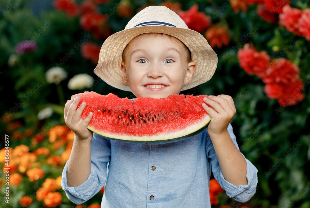 Shy little boy in a he holds a large slice of watermelon and hides his ...