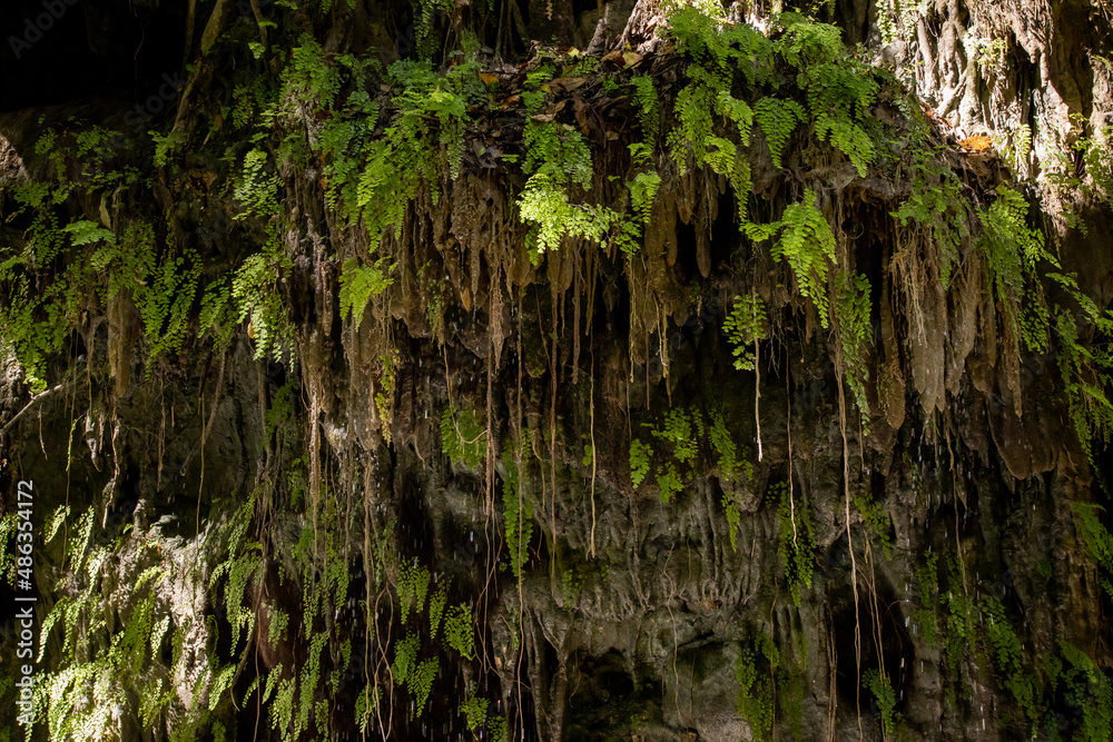 Cascadas de Comala, Chiquilistlan, Jalisco, Mexico Stock Photo | Adobe ...