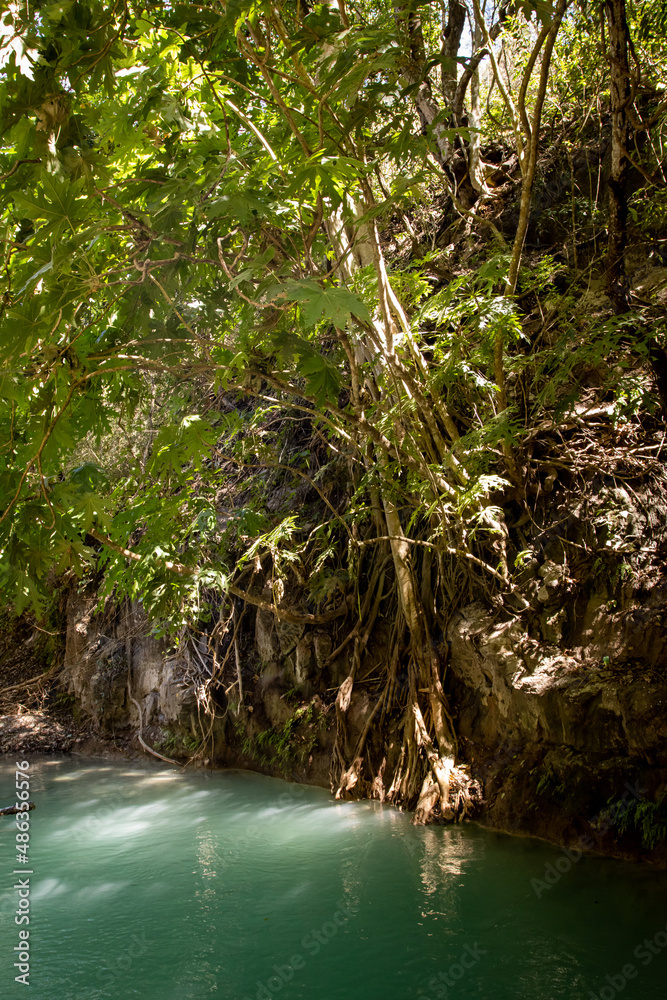 Cascadas de Comala, Chiquilistlan, Jalisco, Mexico Stock Photo | Adobe ...