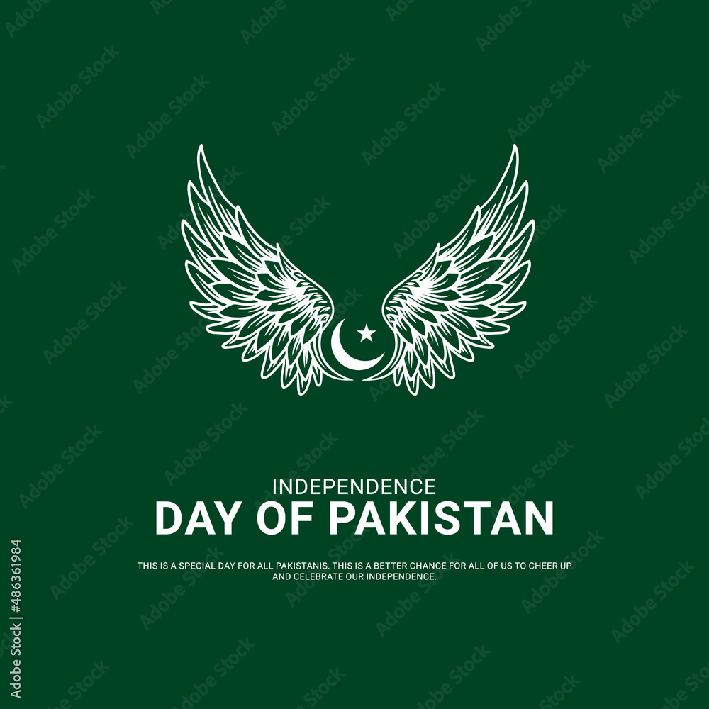 Wings and flag icon, Pakistan Independence day, suitable design for ...