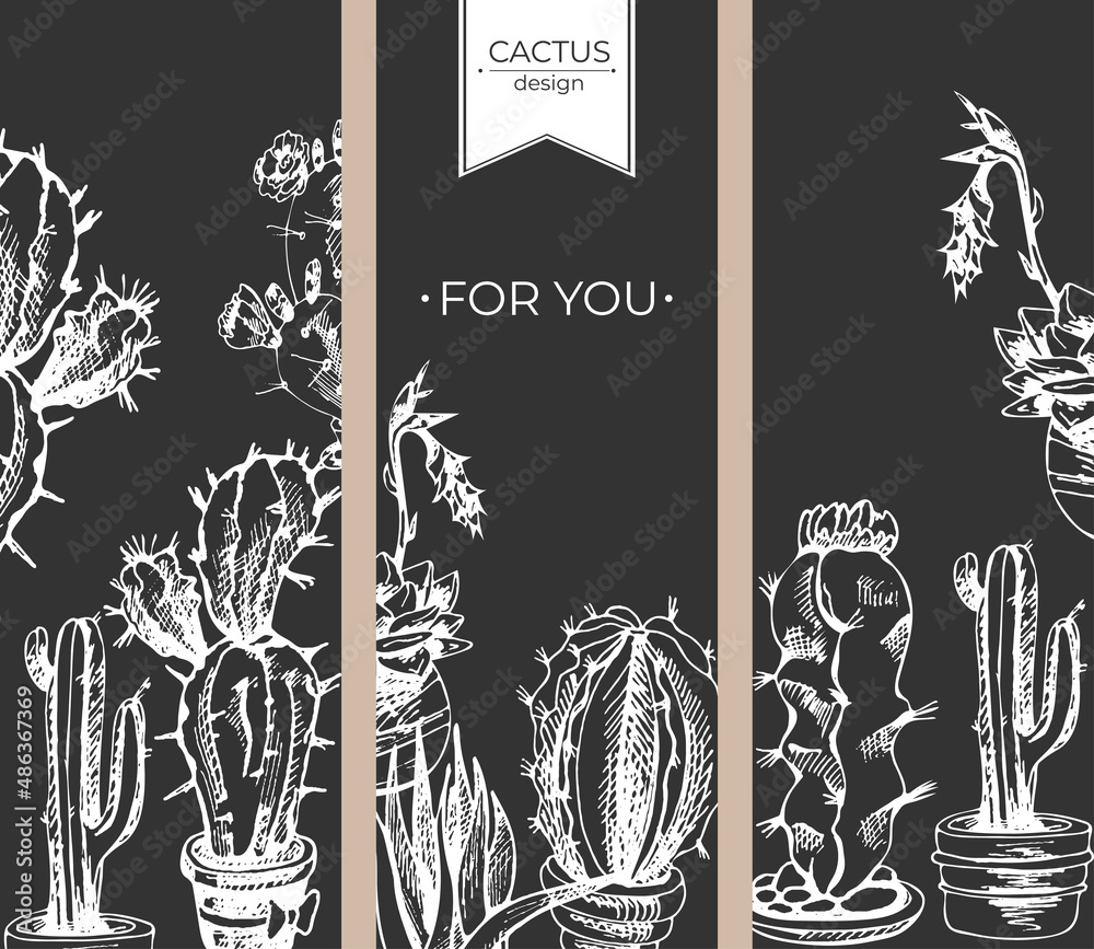 cactus, graphics set of postcards_CACTUS design, set of floral of ...