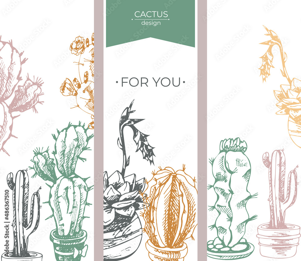 cactus, graphics color set of postcards_CACTUS design, set of floral of ...